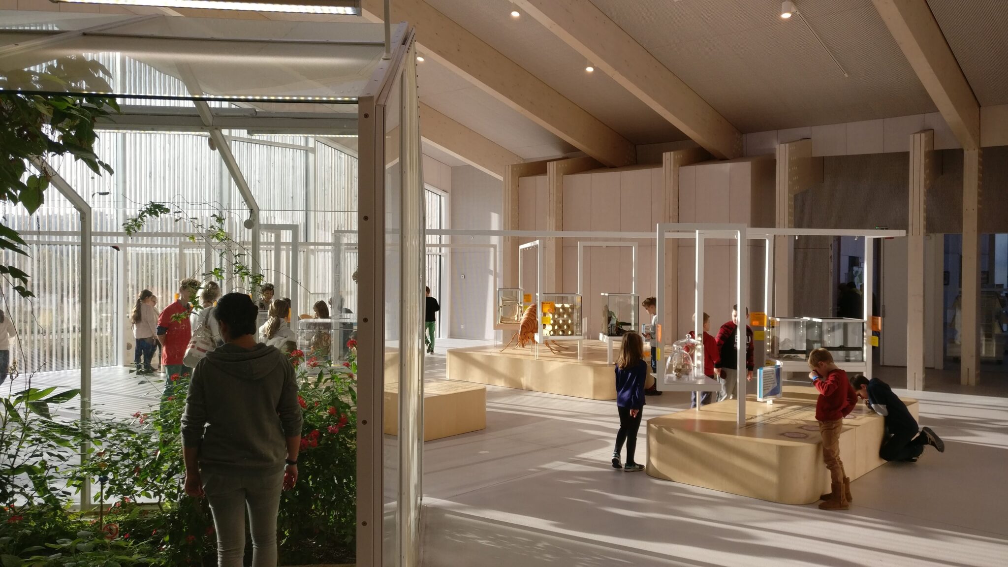 Visiter la Maison des insectes – Office pour les insectes et leur ...