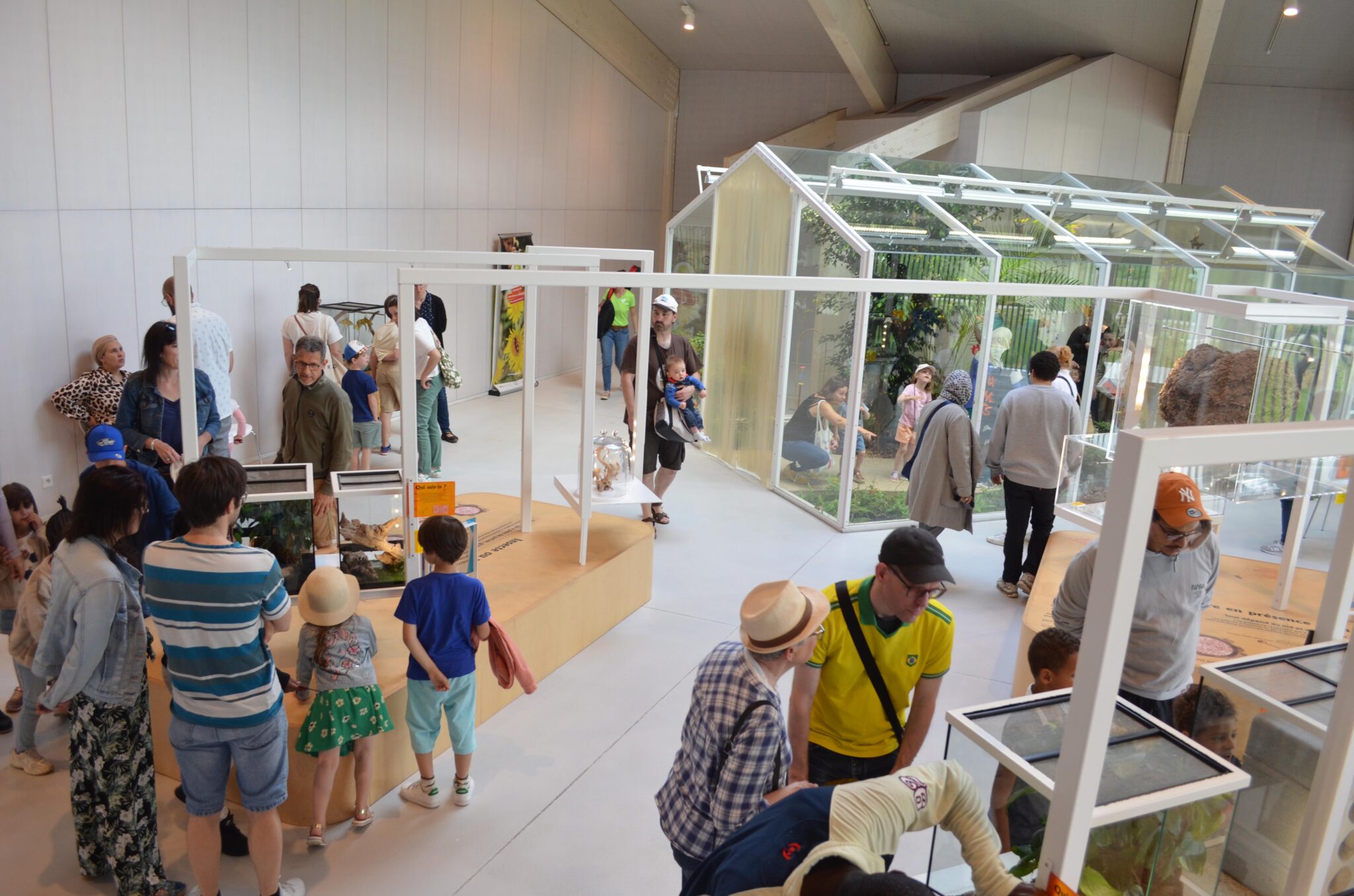 Visiter la Maison des insectes – Office pour les insectes et leur ...