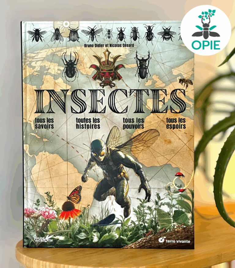 Insectes – Tous les savoirs, toutes les histoires, tous les pouvoirs ...